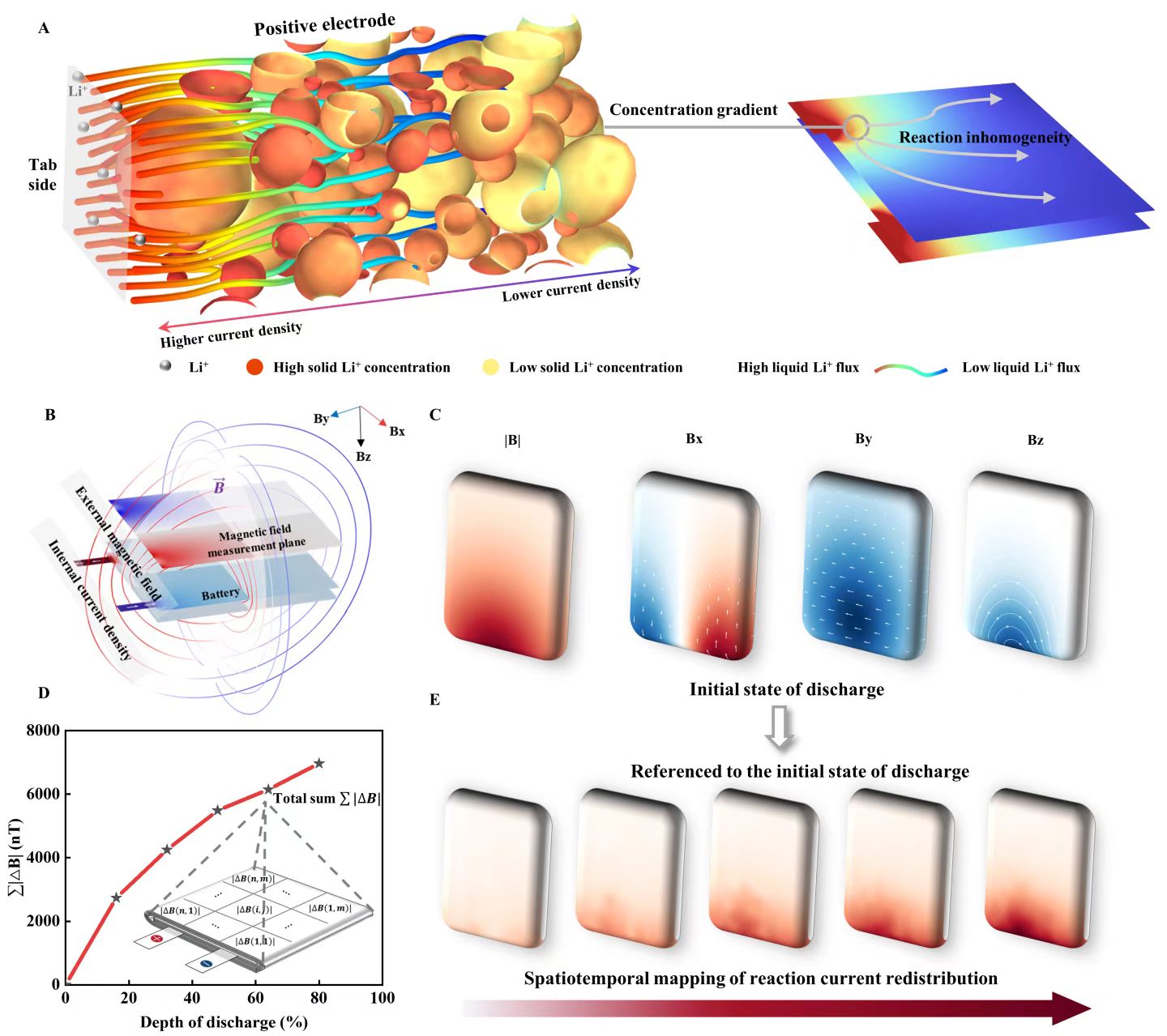 Professor Du Chunyu's team pioneers operando non-destructive mapping ...